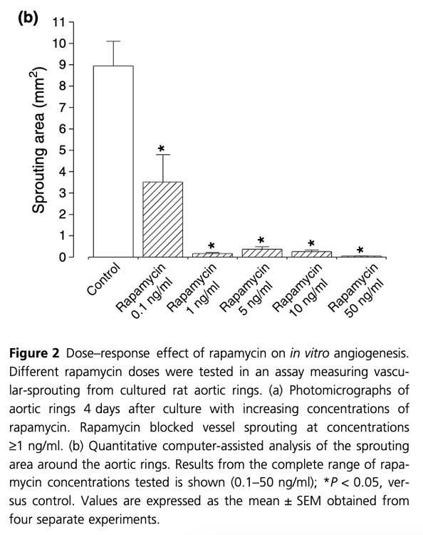 What is the Rapamycin Dose / Dosage for Anti-Aging or Longevity? - #121 ...
