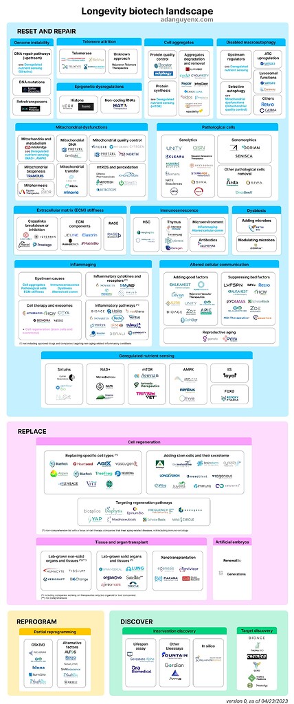 Longevity Biotech Landscape, by Ada Nguyen - Rapamycin Longevity News