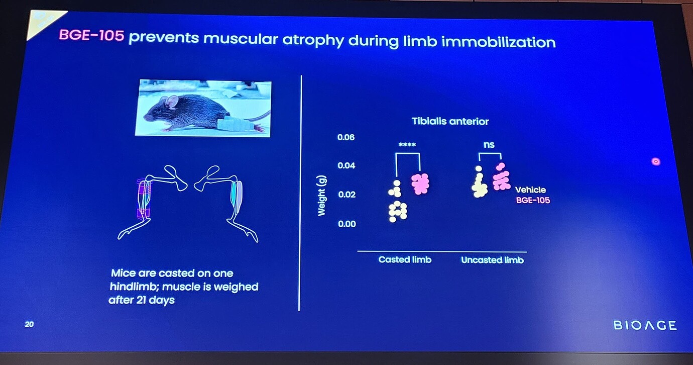 BioAge Results for Phase 1b Clinical Trial on Anti Muscle-Aging Drug ...