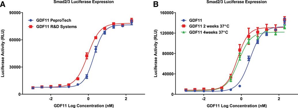 GDF11, Elevian News Story - NYTimes - Rapamycin Longevity News