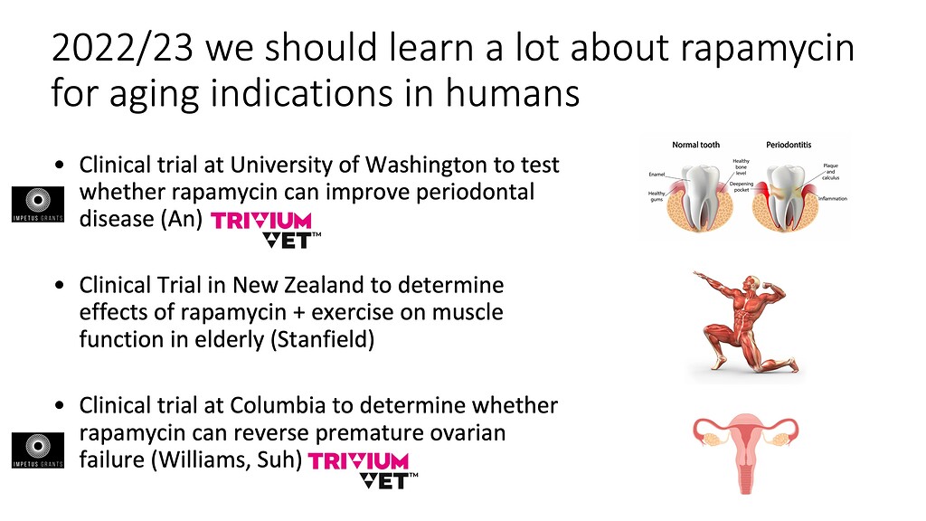 Rapamycin Clinical Trial Update - News - Rapamycin Longevity News