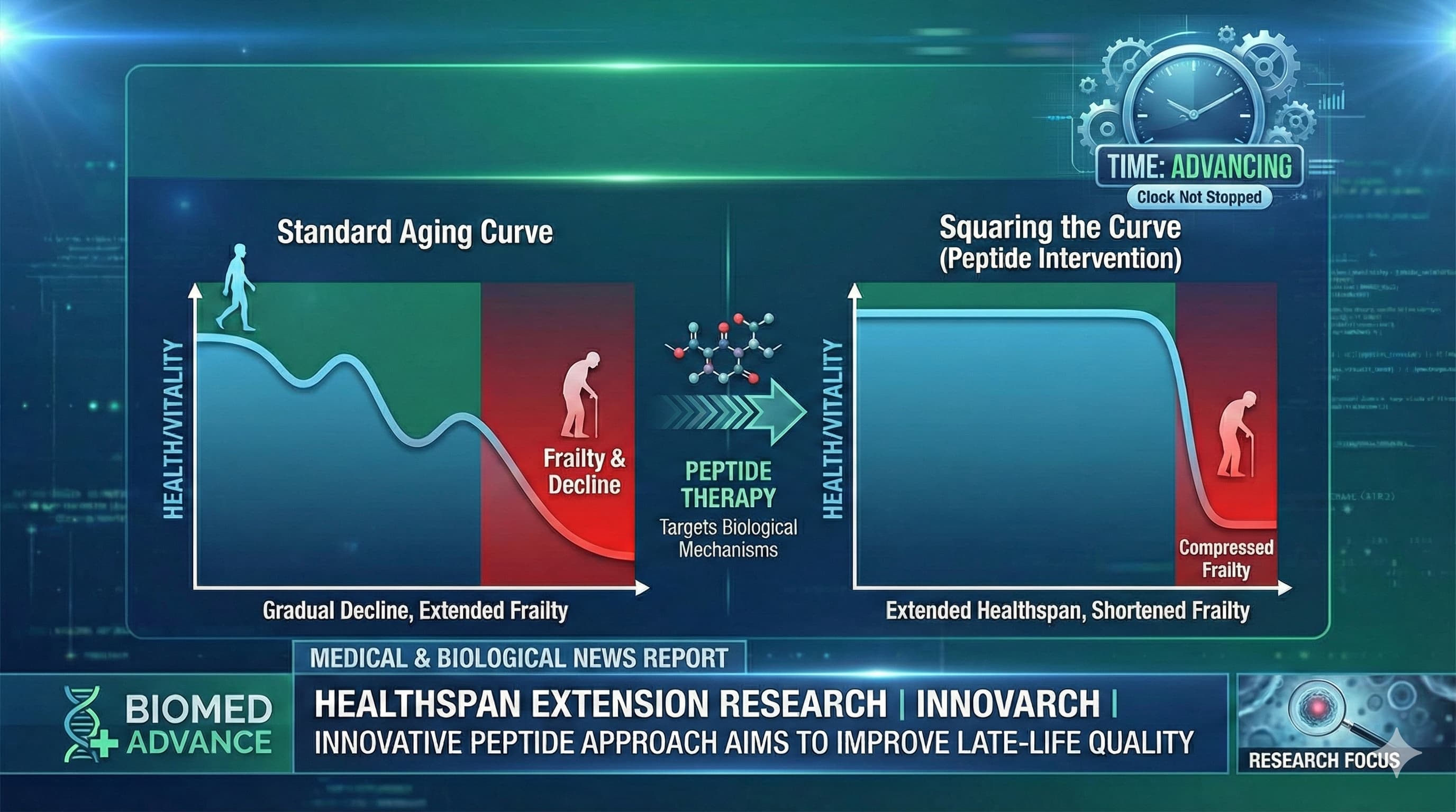 Squaring the Curve: SS-31, The Peptide That Compresses Frailty Without Stopping the Clock - News ...